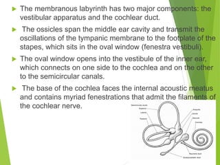 Clinical neuroanatomy of vestibulocochlear nerve | PPTX