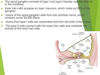 Clinical neuroanatomy of vestibulocochlear nerve | PPTX