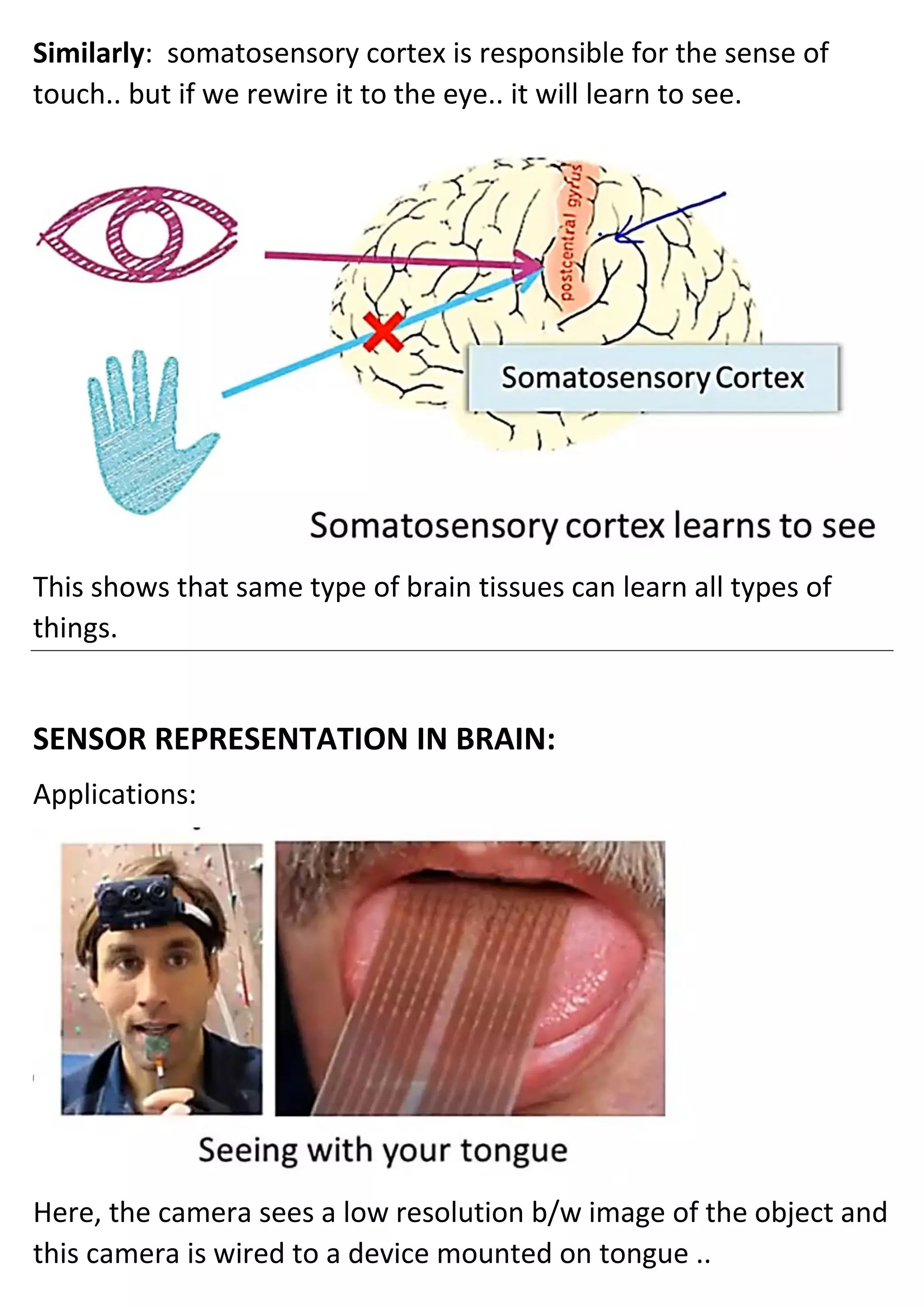 8 Neural Network Representation Pdf