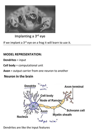 8 neural network representation | PDF