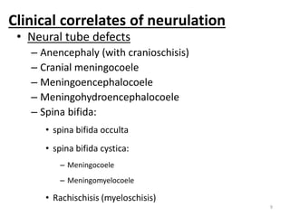 8_Nembryologydeveneurulation_Somites.pptx
