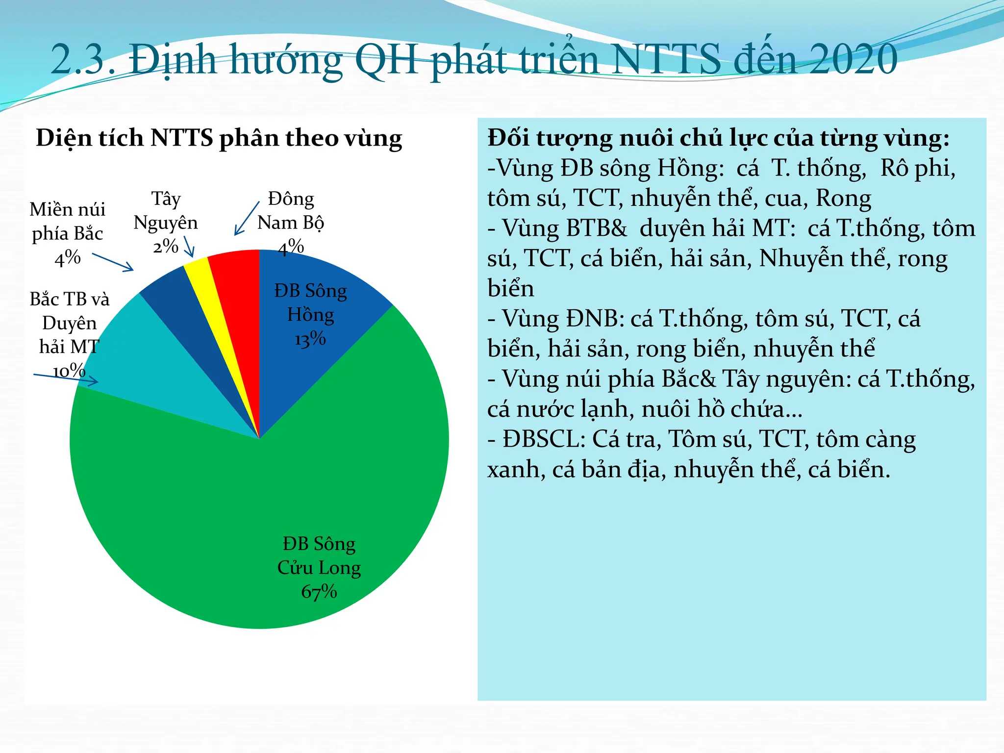 TONG QUAN PHATRONG THUY SAN VIET NAM.ppt