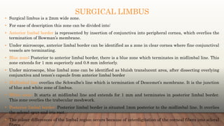 SICS WOUND CONSTRUCTION _ Beginner's Guide | PPTX