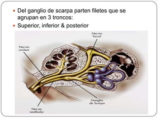 8 par craneal auditivo | PPTX
