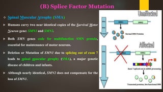 Inborn Errors of RNA Transcription | PPTX