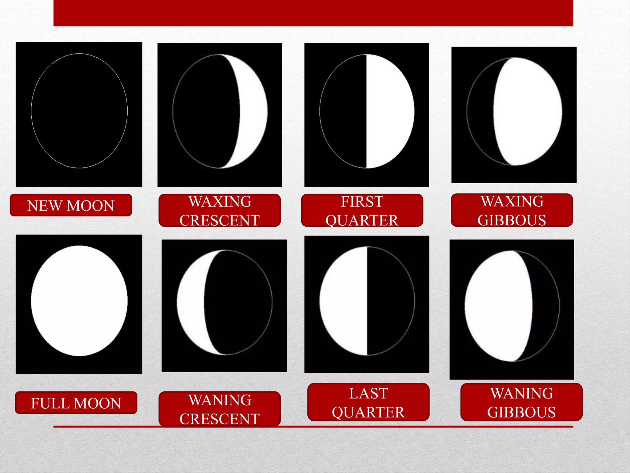 8 phases of the moon | PPTX