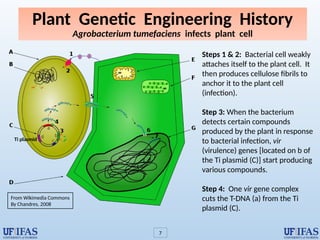 Power Point Presentation on Plant-Genetic-Engineering.pptx
