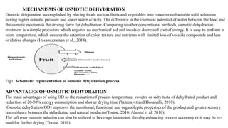 8Plantain preservation through osmotic drying and its kinetics.pptx