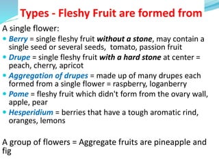 8 Plant Science - Seed germination, Breeding and Microorganisms.ppt