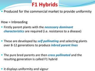 8 Plant Science - Seed germination, Breeding and Microorganisms.ppt
