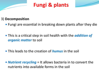 8 Plant Science - Seed germination, Breeding and Microorganisms.ppt
