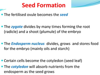 8 Plant Science - Seed germination, Breeding and Microorganisms.ppt
