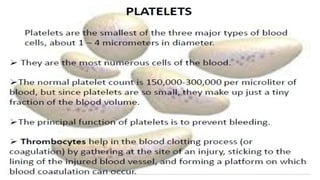 DPT - Physiology - II (Blood Physiology) Platelets, clotting mechanisms ...
