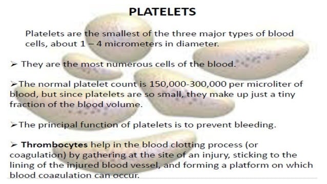 DPT - Physiology - II (Blood Physiology) Platelets, clotting mechanisms ...