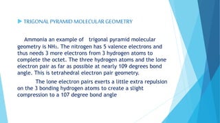 8 polarity...pescasio | PPT