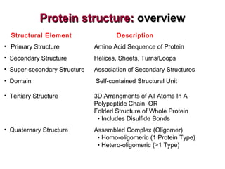 Proetin Tertiary Structure | PPT