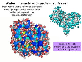 Proetin Tertiary Structure | PPT