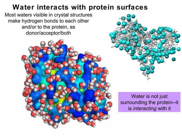 Proetin Tertiary Structure | PPT | Chemistry | Science