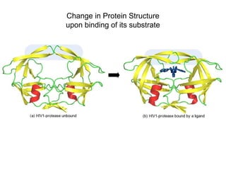 Proetin Tertiary Structure | PPT