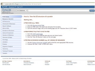 Proetin Tertiary Structure | PPT