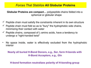 Proetin Tertiary Structure | PPT