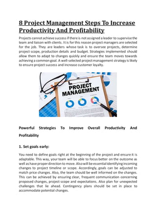8 Steps To Increase Productivity & Profitability Through Effective Project Management | PDF