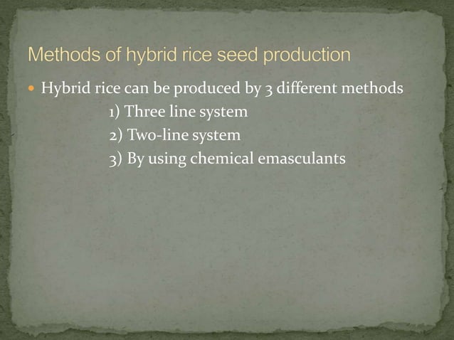 Hybrid seed production of rice | PPTX | Agriculture | Industries