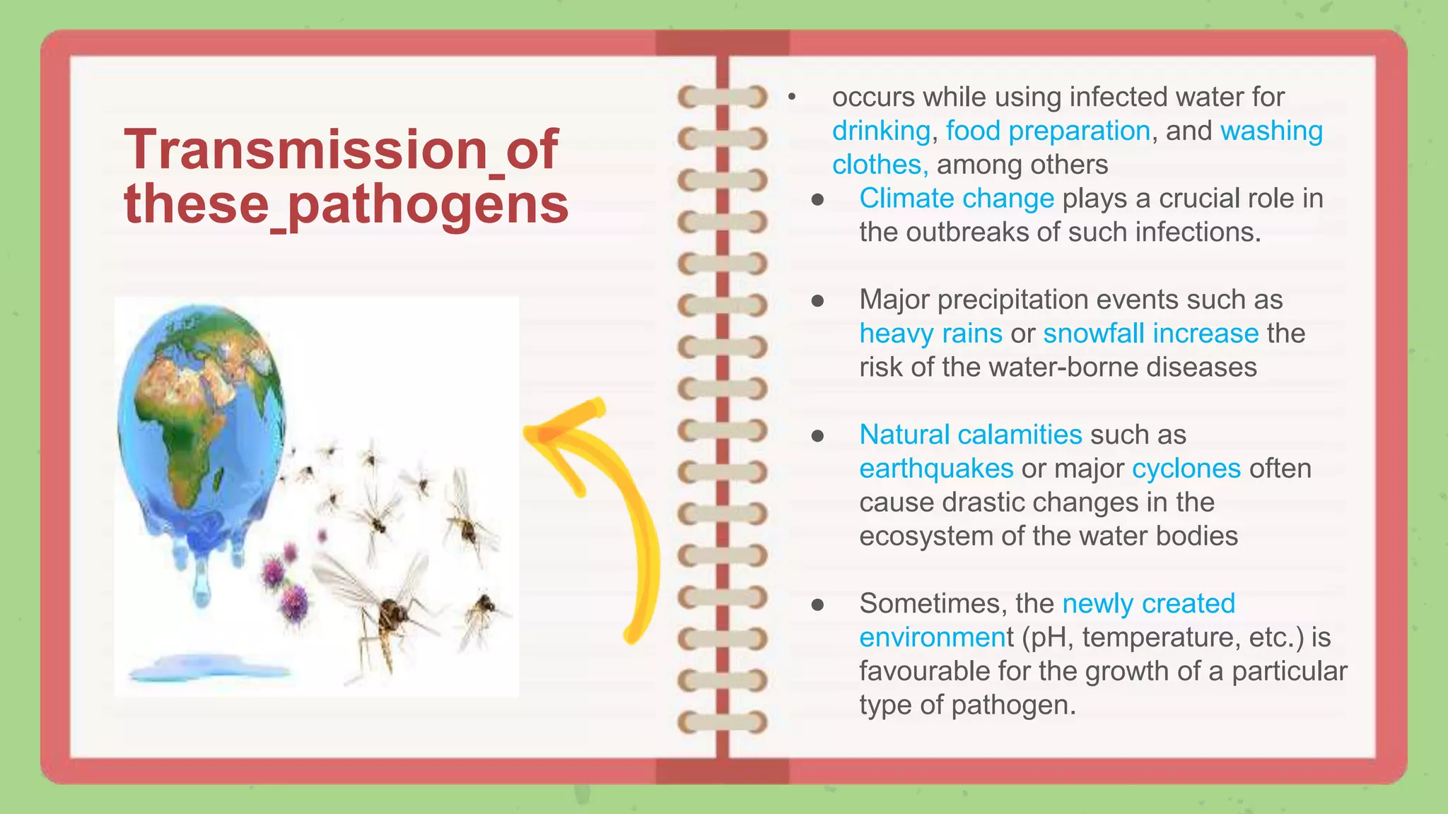 8 queen problem | PPTX