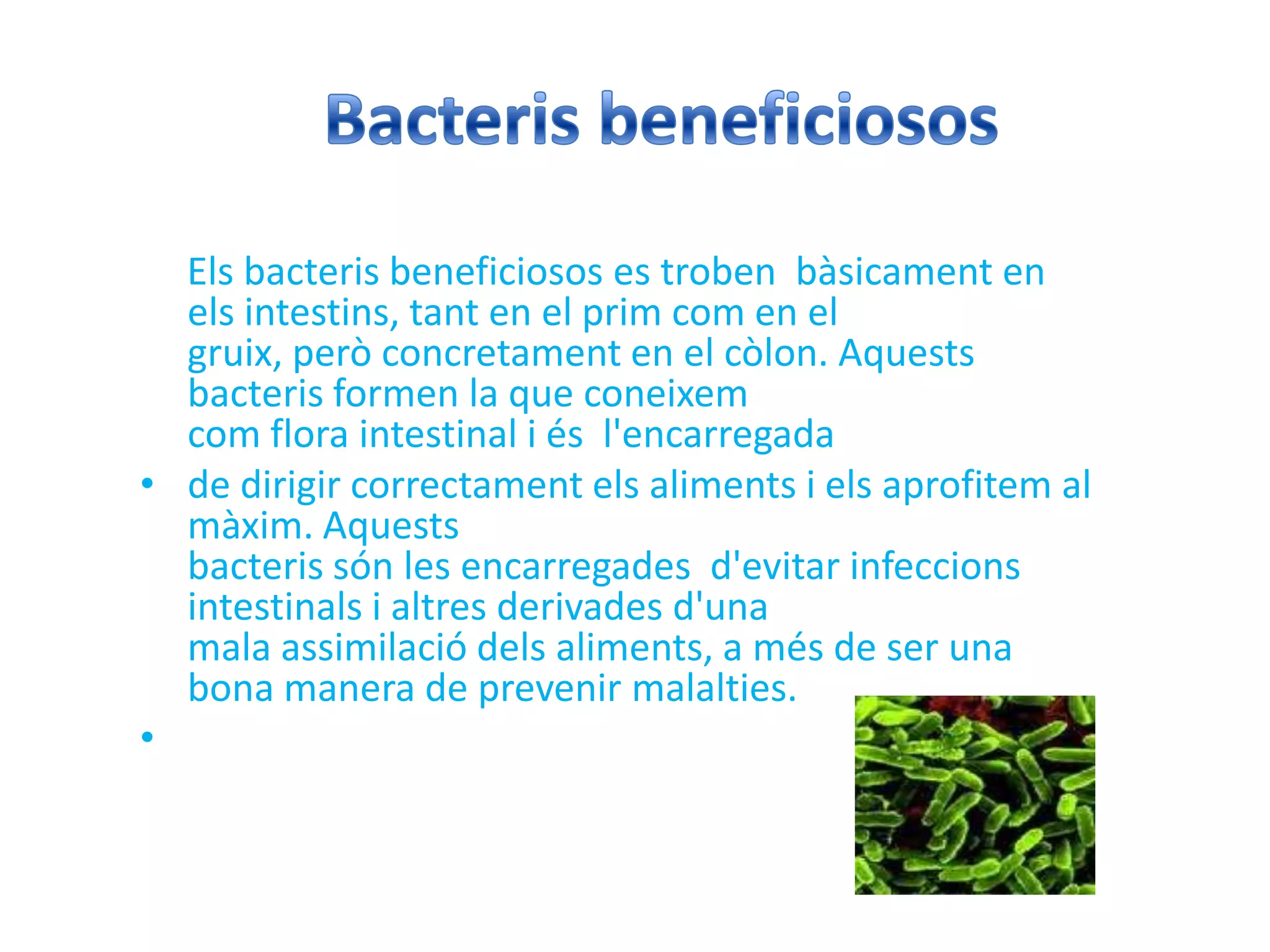 Què són els bacteris | PPTX