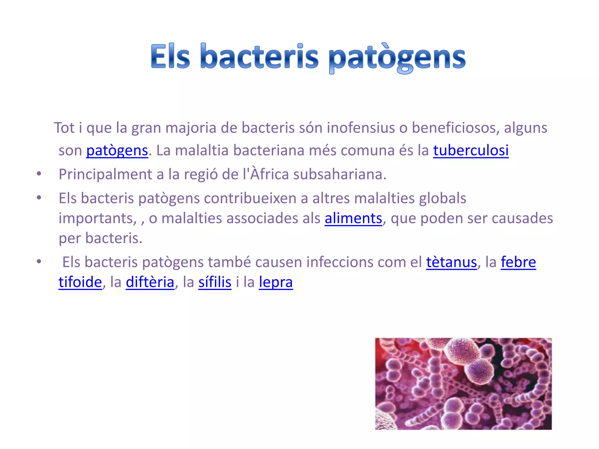 Què són els bacteris | PPTX