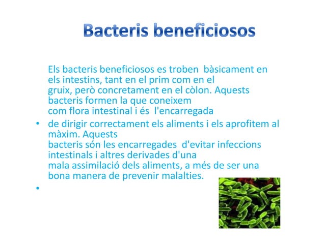 Què són els bacteris | PPT