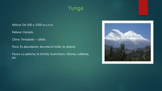 8 regiones del peru | PPTX