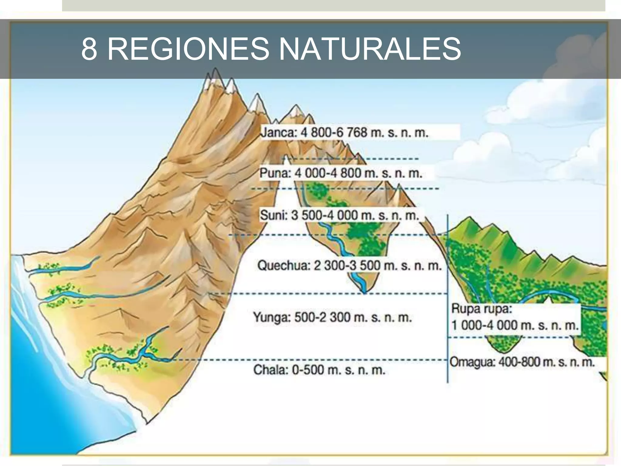 8 regiones naturales | PPTX | Geography | Science