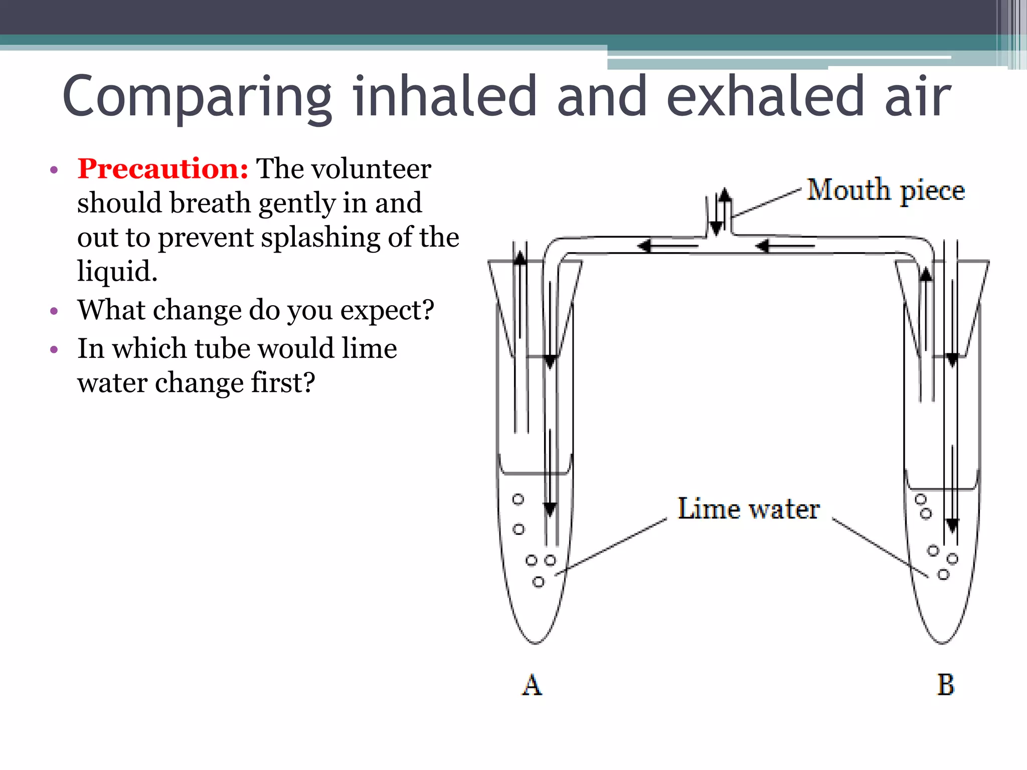 Ch 8 respiration 2019 | PPTX