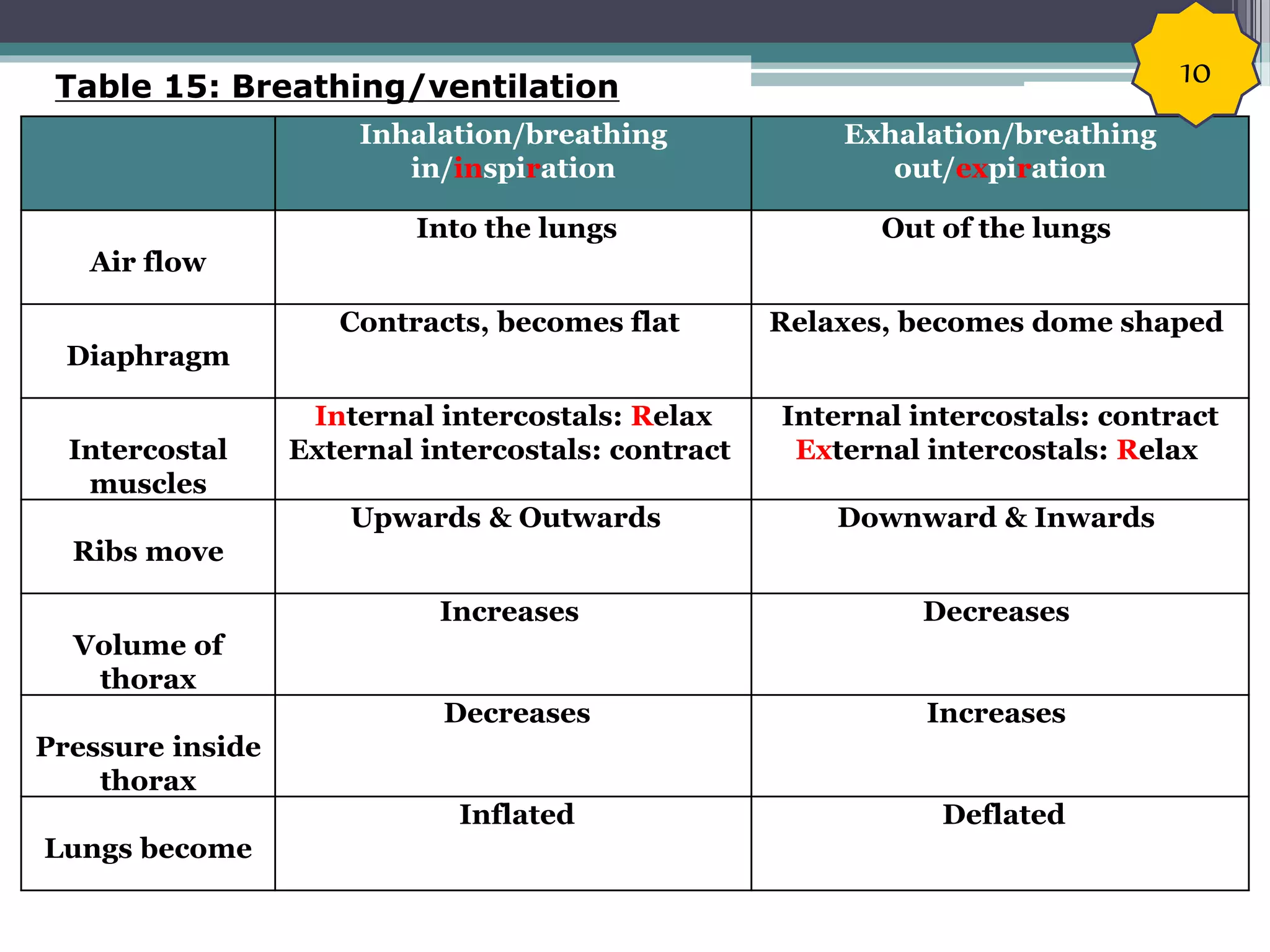 Ch 8 respiration 2019 | PPTX