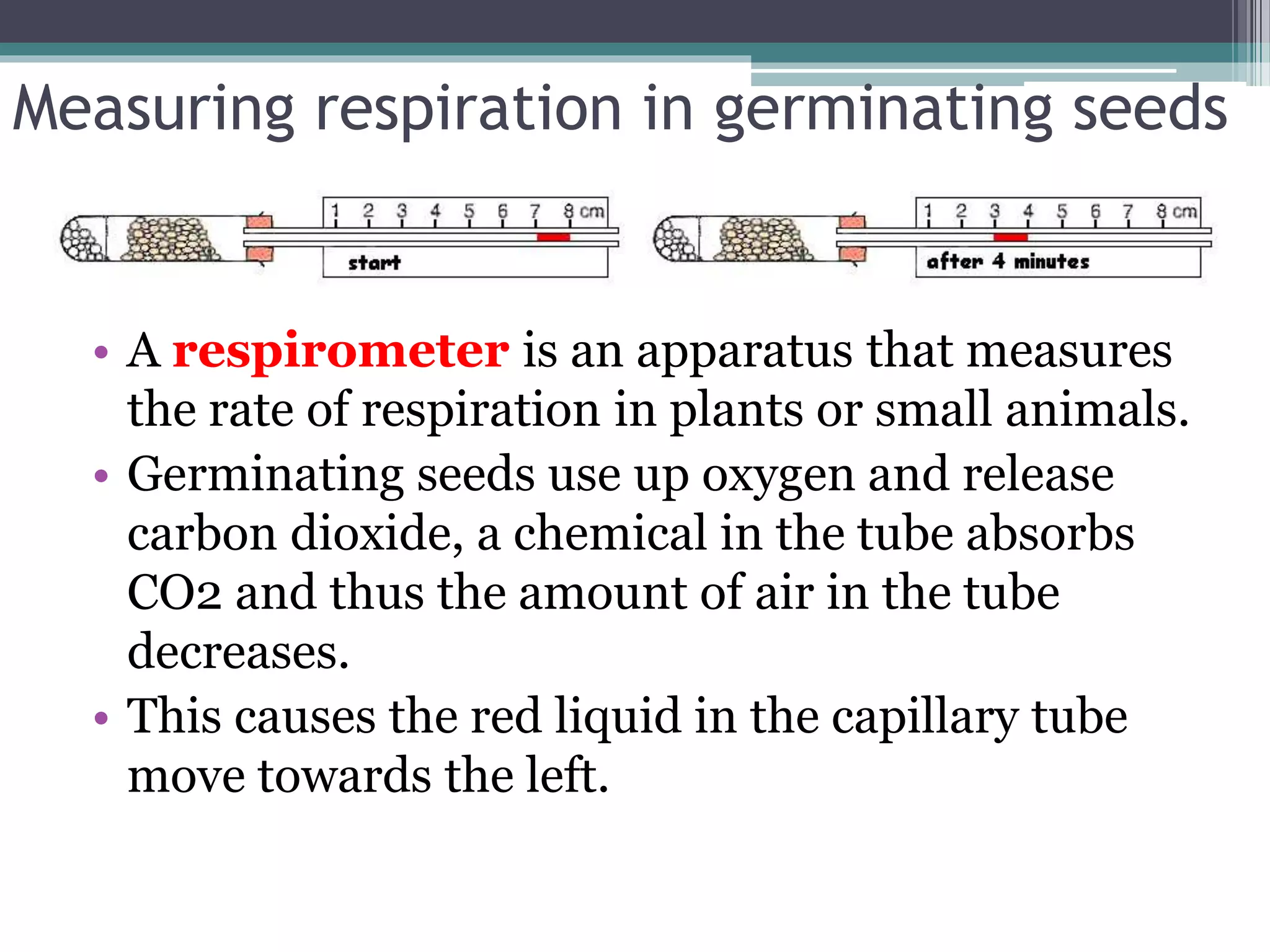 Ch 8 respiration 2019 | PPTX