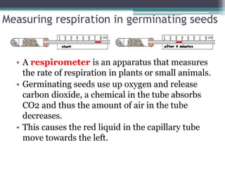 Ch 8 respiration 2019 | PPTX