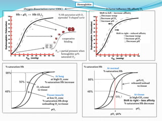 Option B Hemoglobin, Myoglobin, Cytochrome and Oxygen Dissociation ...