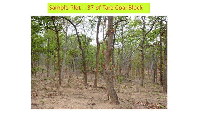 8. TREE ENUMERATION, CROP ASSESSMENT, BASAL AREA DETERMINATION, PHOTOGRAPHY & VIDEOGRAPHY | PDF ...
