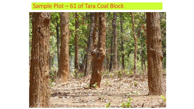 8. TREE ENUMERATION, CROP ASSESSMENT, BASAL AREA DETERMINATION, PHOTOGRAPHY & VIDEOGRAPHY | PDF ...