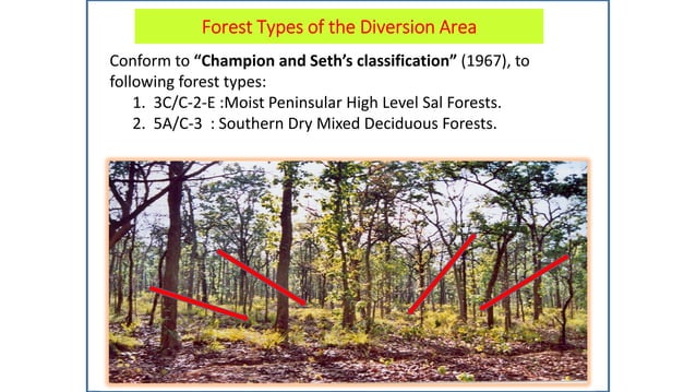 8. TREE ENUMERATION, CROP ASSESSMENT, BASAL AREA DETERMINATION ...