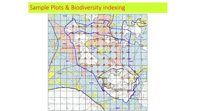 8. TREE ENUMERATION, CROP ASSESSMENT, BASAL AREA DETERMINATION ...