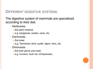Functioning organisms - 02 Digestive system | PPTX