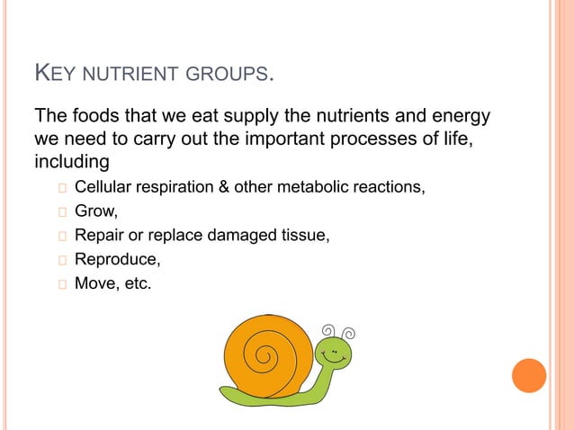 Functioning organisms - 02 Digestive system | PPT