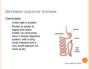 Functioning organisms - 02 Digestive system | PPTX