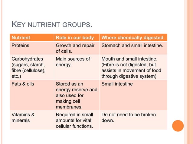 Functioning organisms - 02 Digestive system | PPT