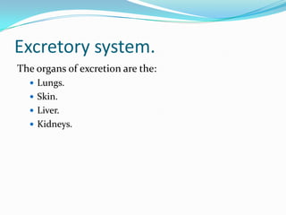 Functioning Organisms - 05 The Excretory System | PPTX | Lung and ...