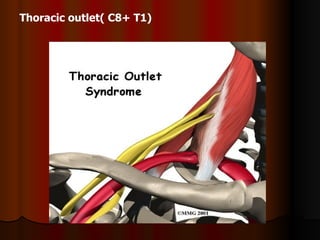 orthopedics. sciatic n. injury.(baxtyar rasul) | PPT