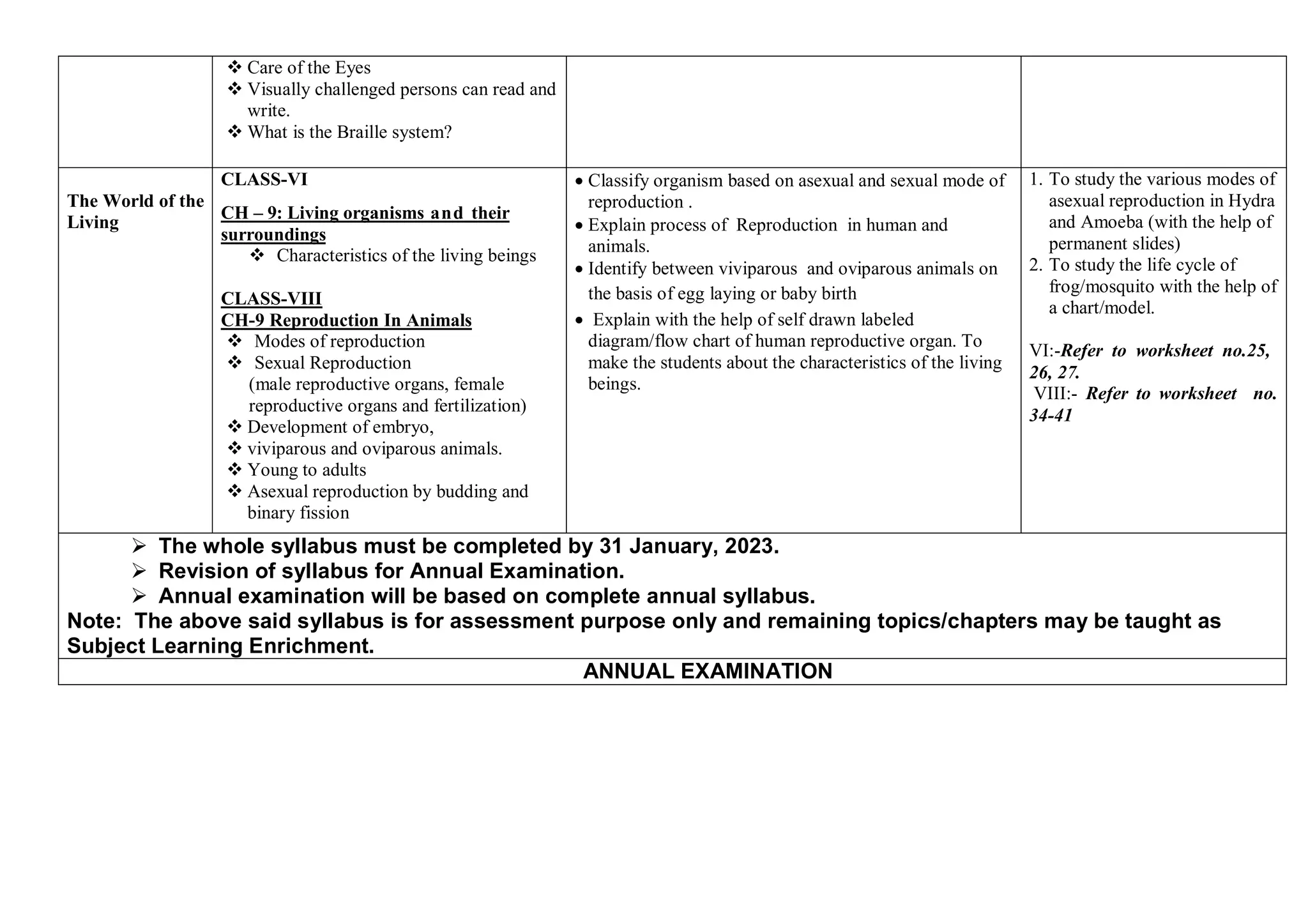 Science syllabus: class 8th | PDF | Physics | Science