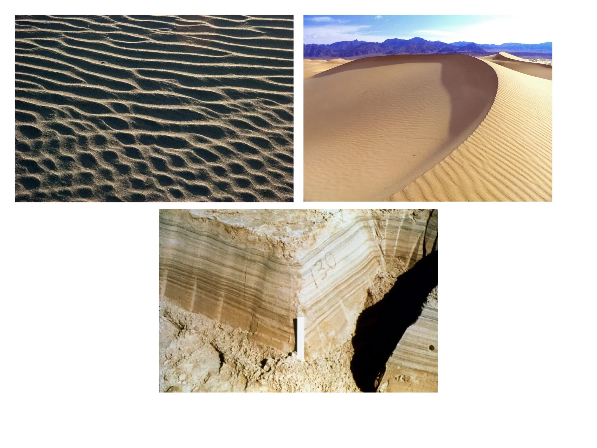 Sedimentary Rocks geology & engineering(1).ppt